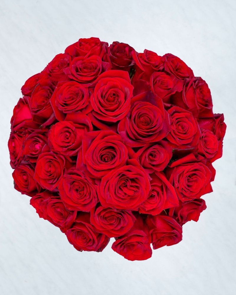 Flowers Alissar Flowers Dubai Flowers Alissar Flowers Dubai